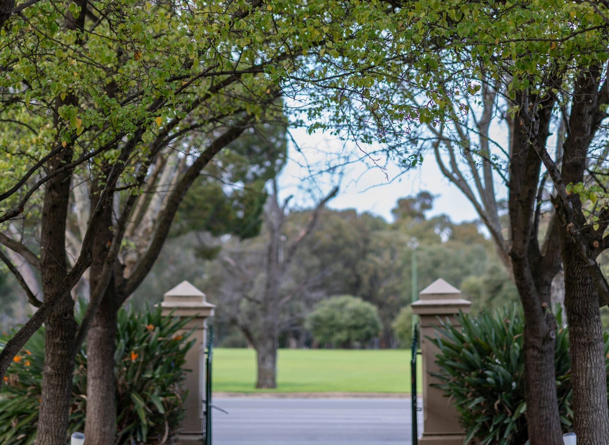 Finance Solutions - Oreon Partners Adelaide